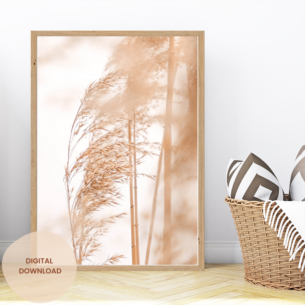 Photography Art Collection – Fingerprint Interiors